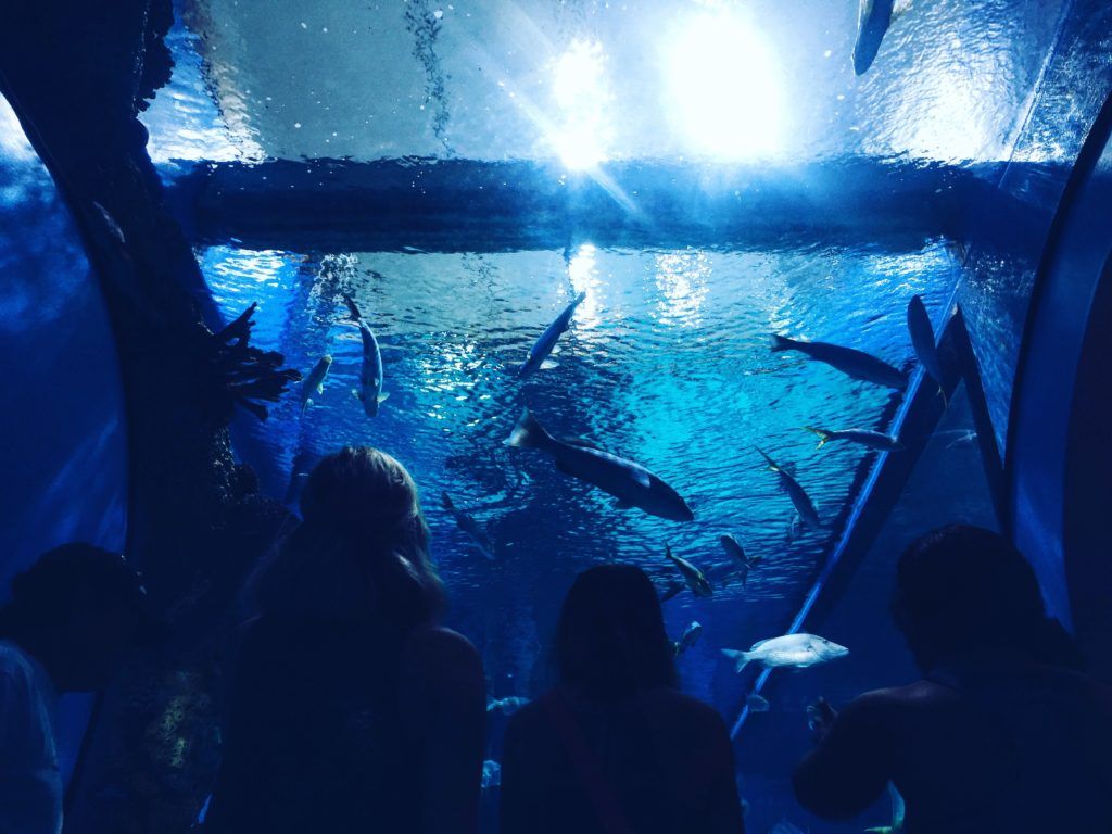 discovery weekend // helium takes a tour de Florida - Helium Creative